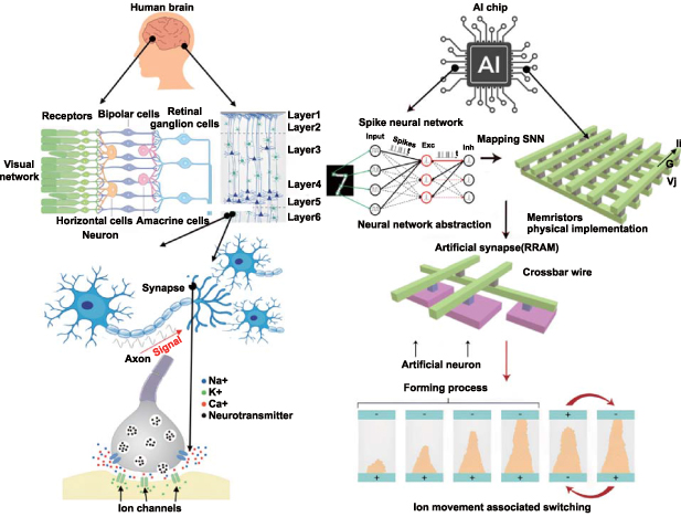Advances of embedded resistive random access memory in industrial ...