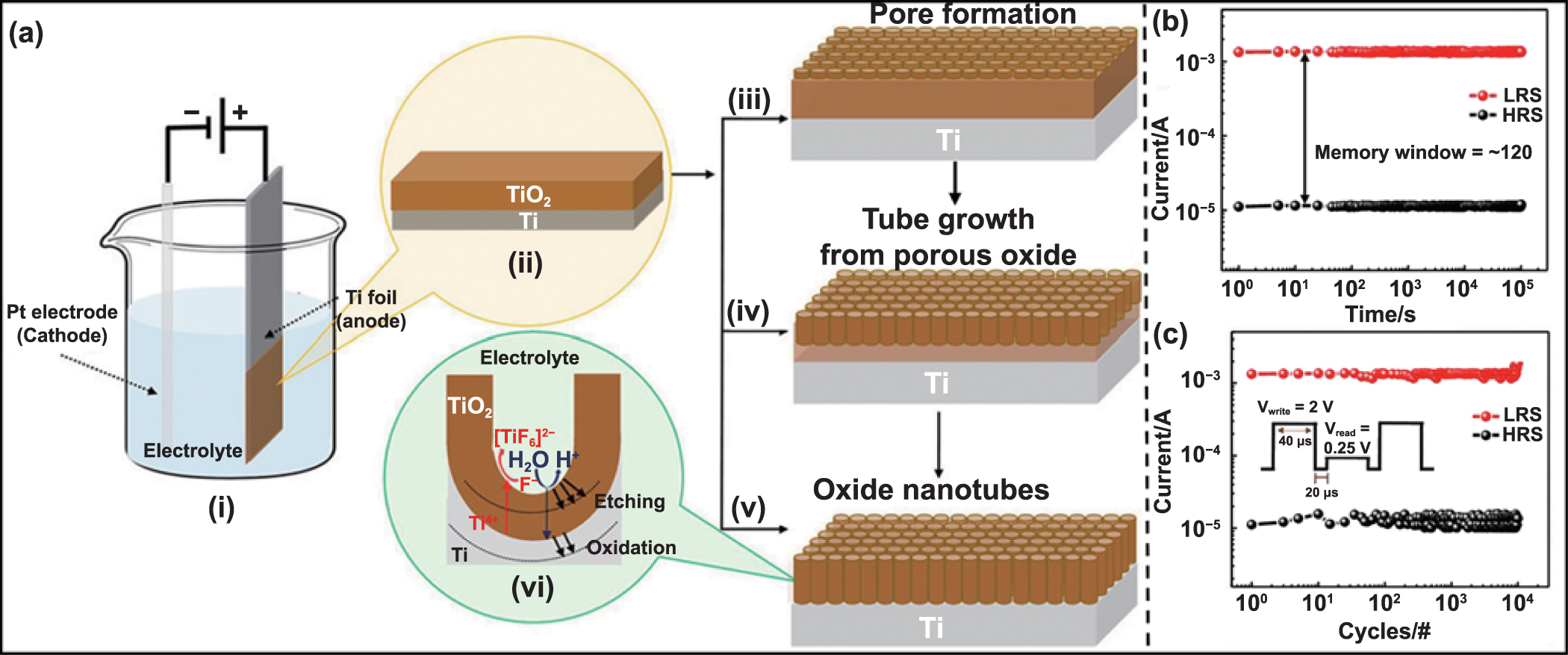Electrochemical anodic oxidation assisted fabrication of memristors ...