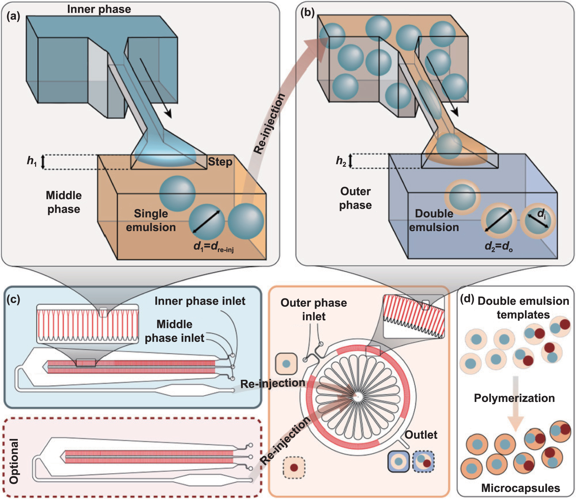 High-throughput microfluidic production of carbon capture microcapsules ...