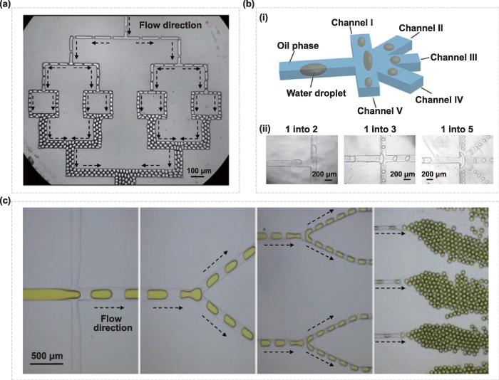 High-throughput microfluidic production of carbon capture microcapsules ...