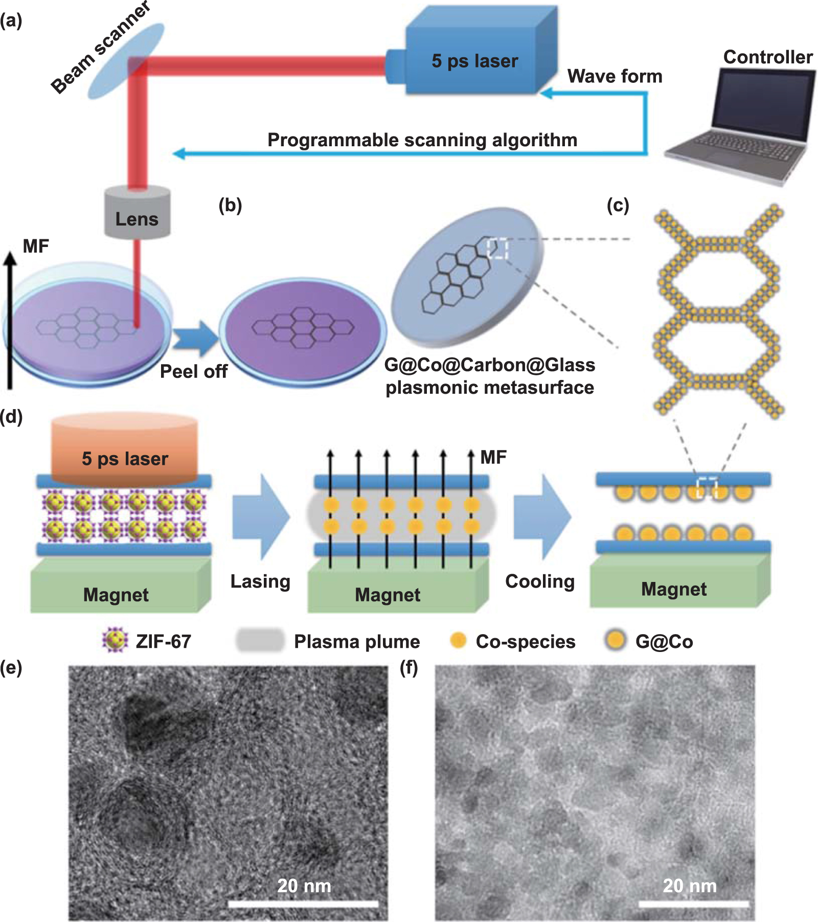 Revolutionizing plasmonic platform via magnetic field-assisted confined ...