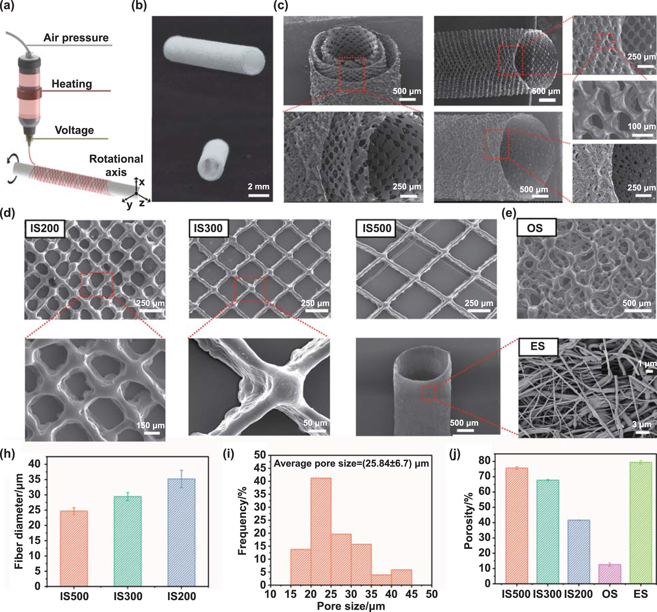 3D printed grafts with gradient structures for organized vascular ...