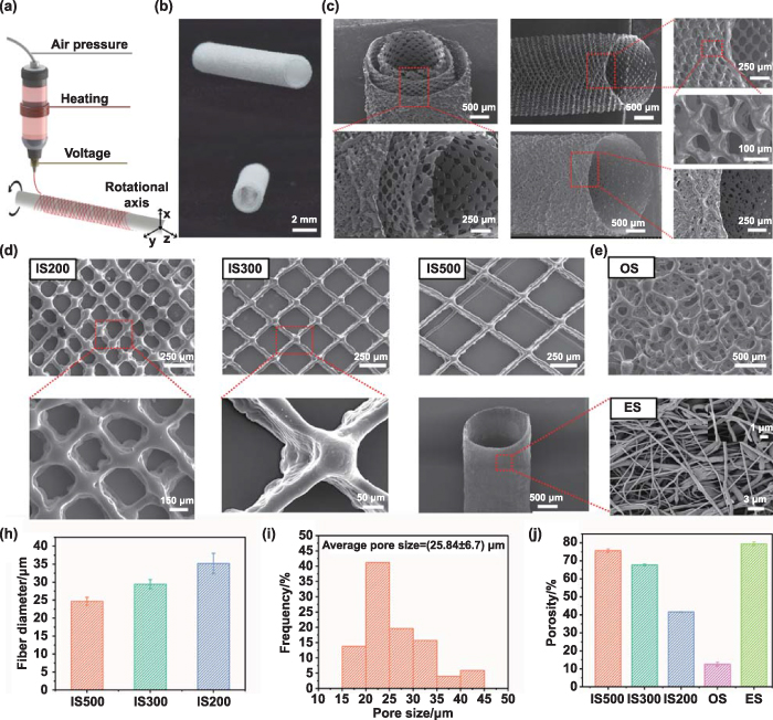 3D printed grafts with gradient structures for organized vascular ...