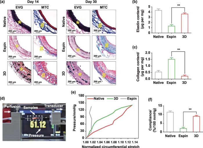 3D printed grafts with gradient structures for organized vascular ...