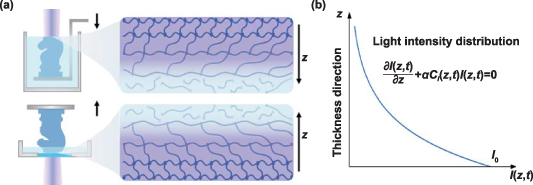 Digital light processing based multimaterial 3D printing: challenges ...