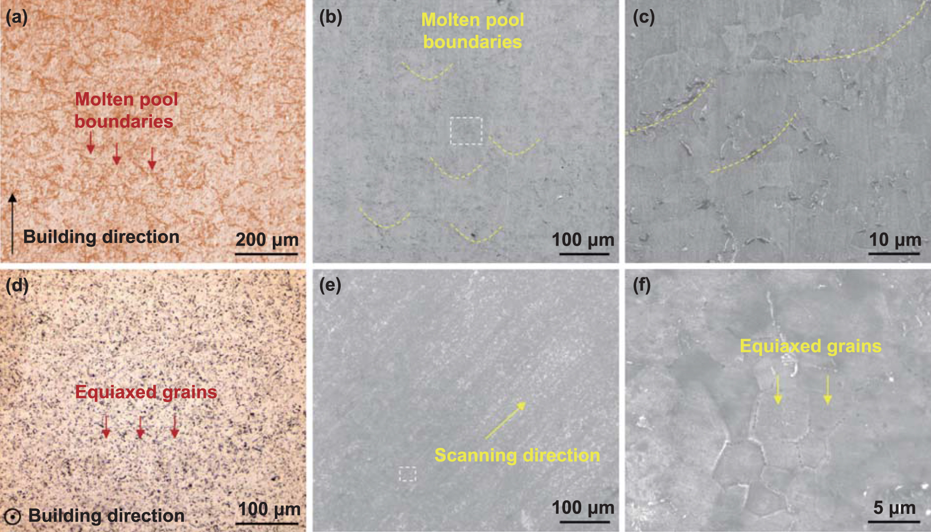 Role of heterogenous microstructure and deformation behavior in ...