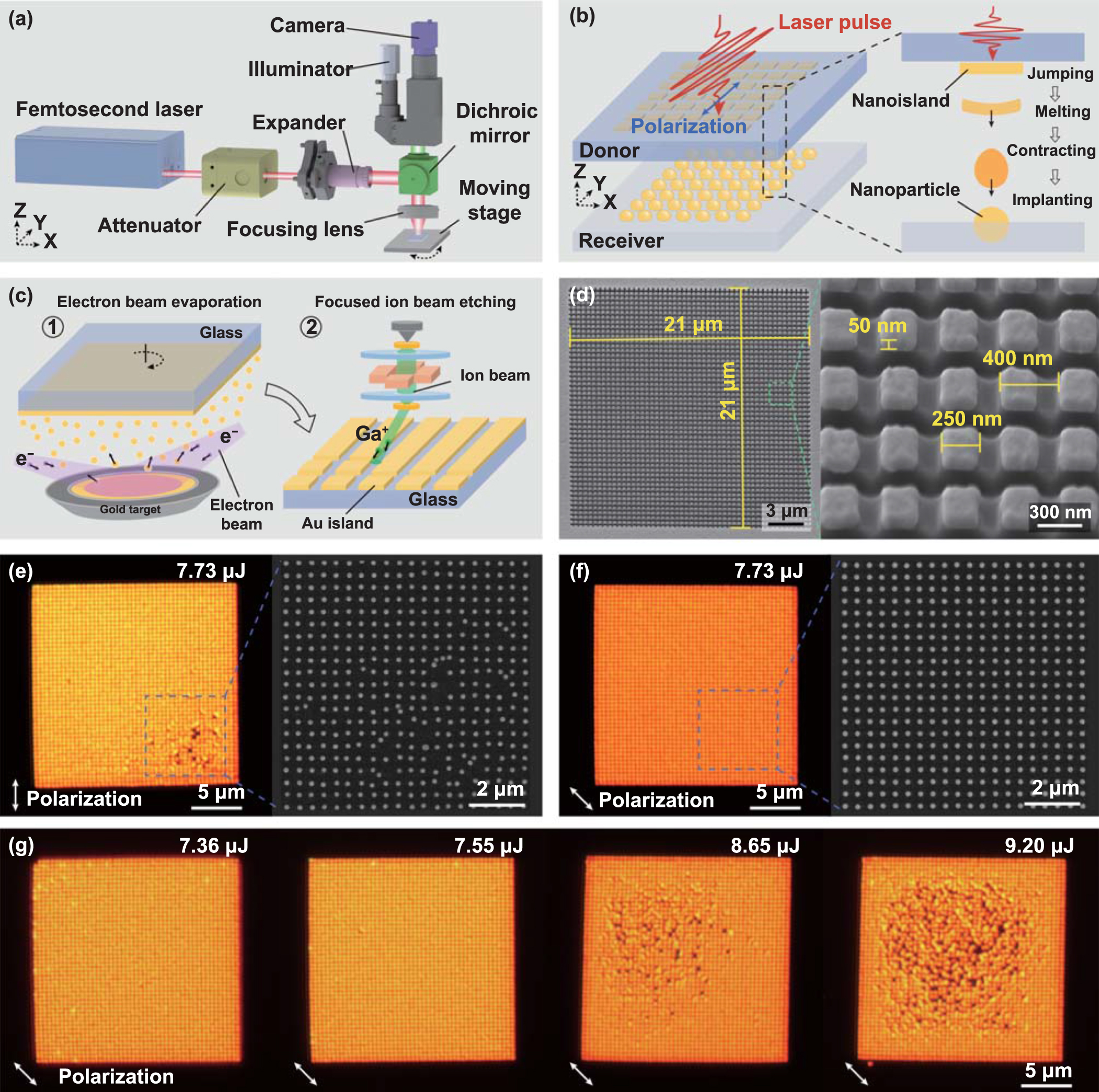 Femtosecond laser-induced nanoparticle implantation into flexible ...