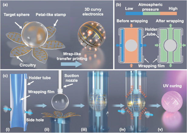 Advancements in transfer printing techniques for flexible electronics ...