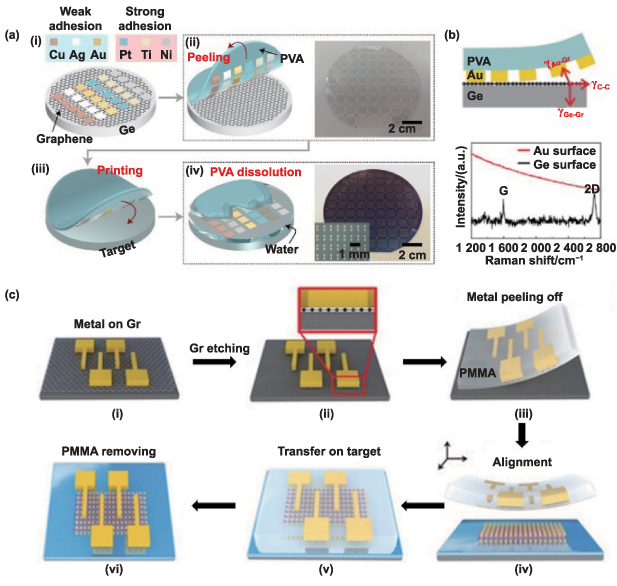 Advancements in transfer printing techniques for flexible electronics ...
