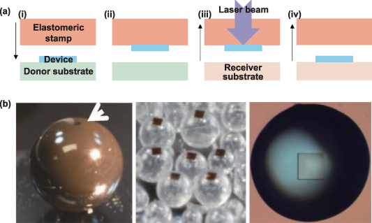 Advancements in transfer printing techniques for flexible electronics ...