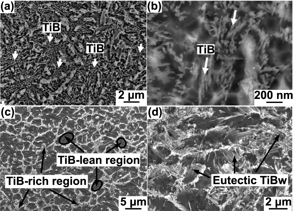 An overview of additively manufactured metal matrix composites ...