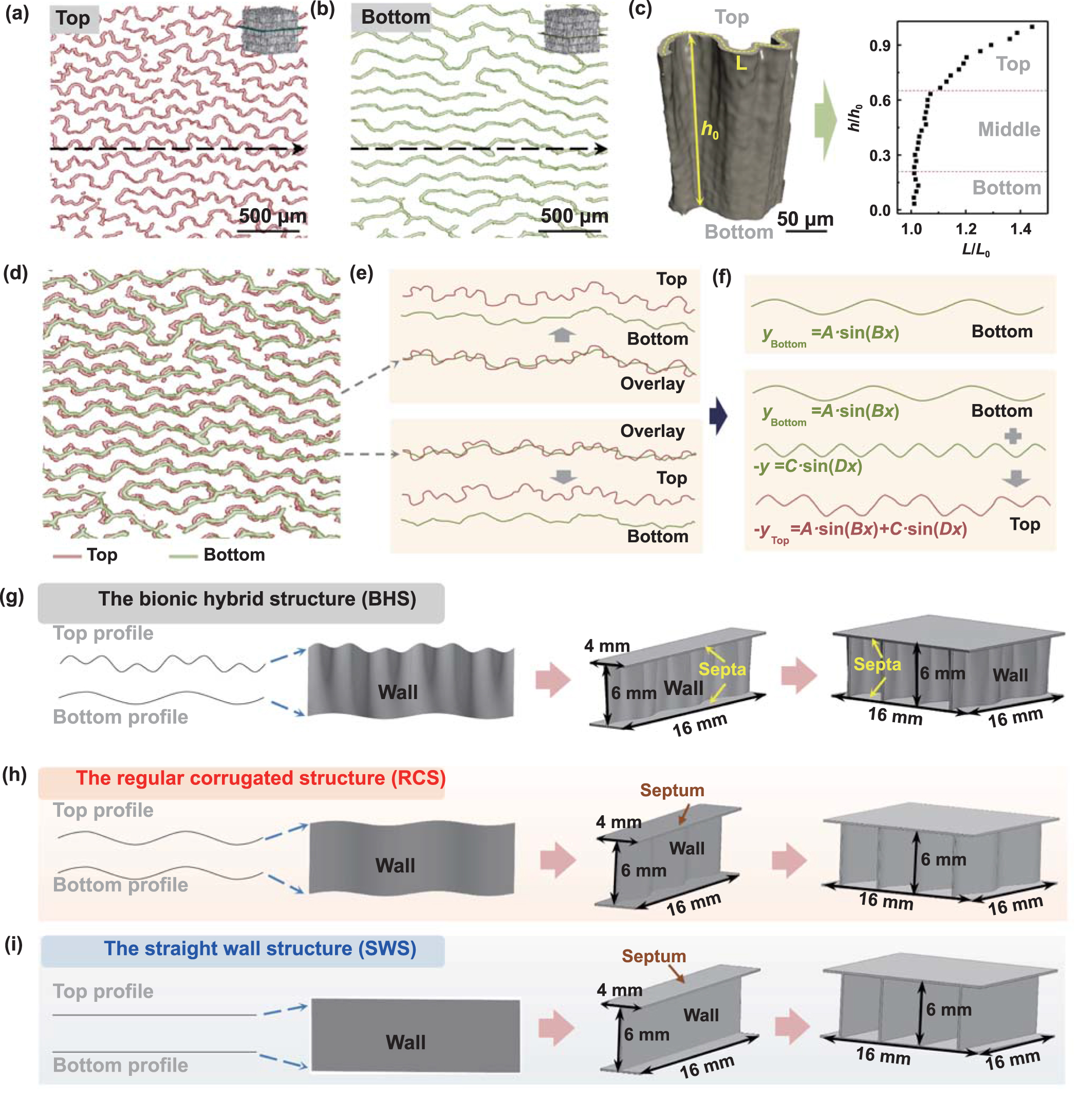 Design and additive manufacturing of bionic hybrid structure inspired ...