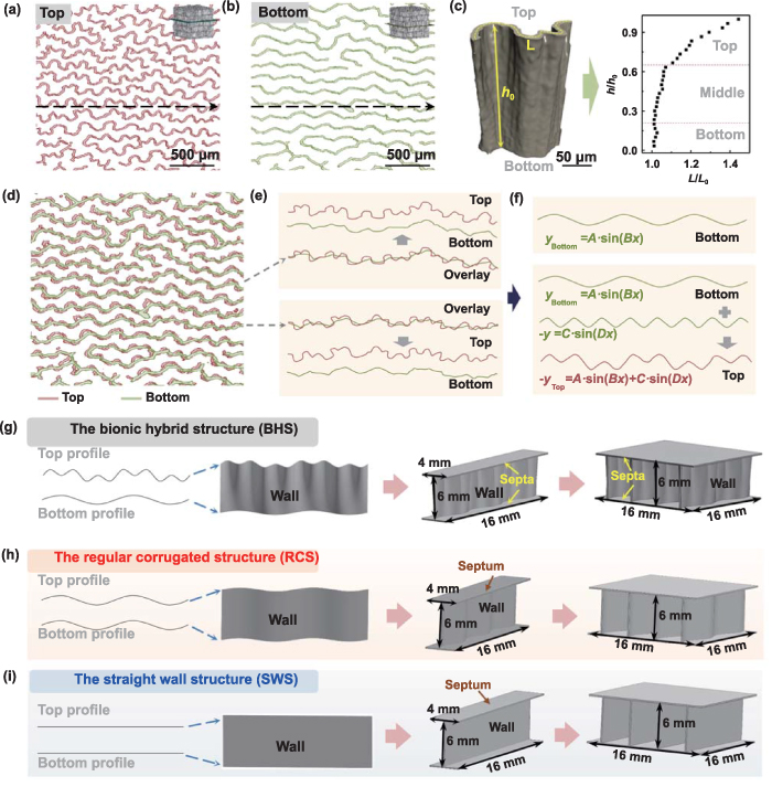 Design and additive manufacturing of bionic hybrid structure inspired ...
