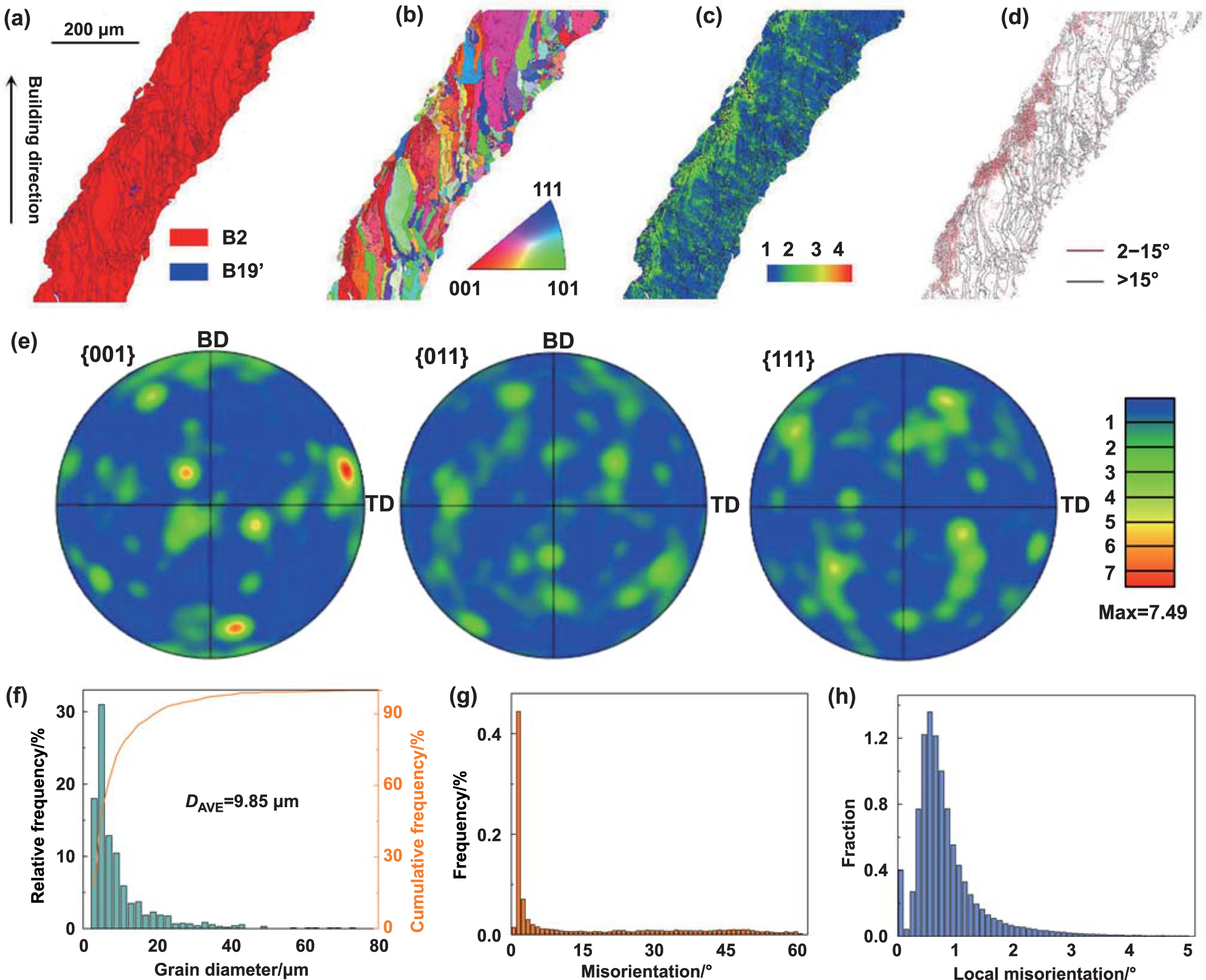 Design and additive manufacturing of bionic hybrid structure inspired ...