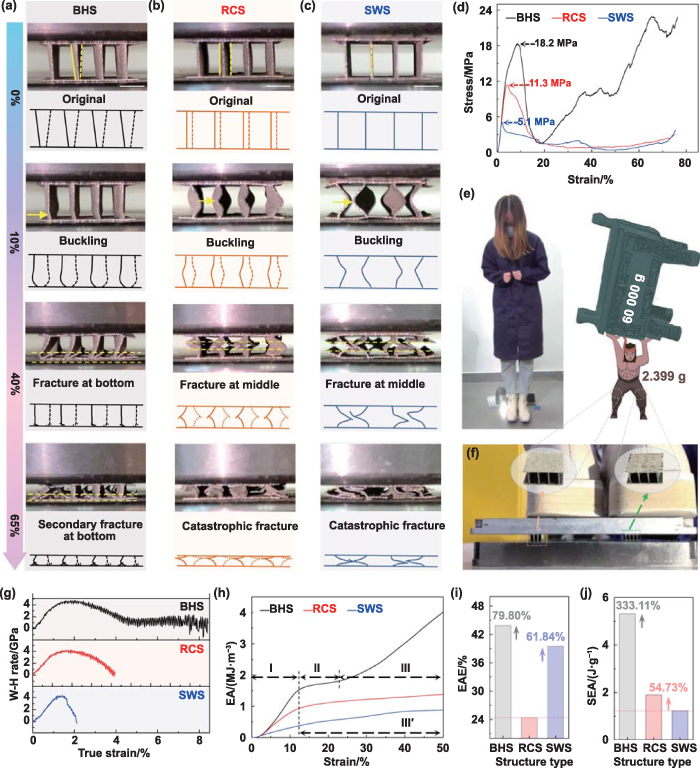 Design and additive manufacturing of bionic hybrid structure inspired ...