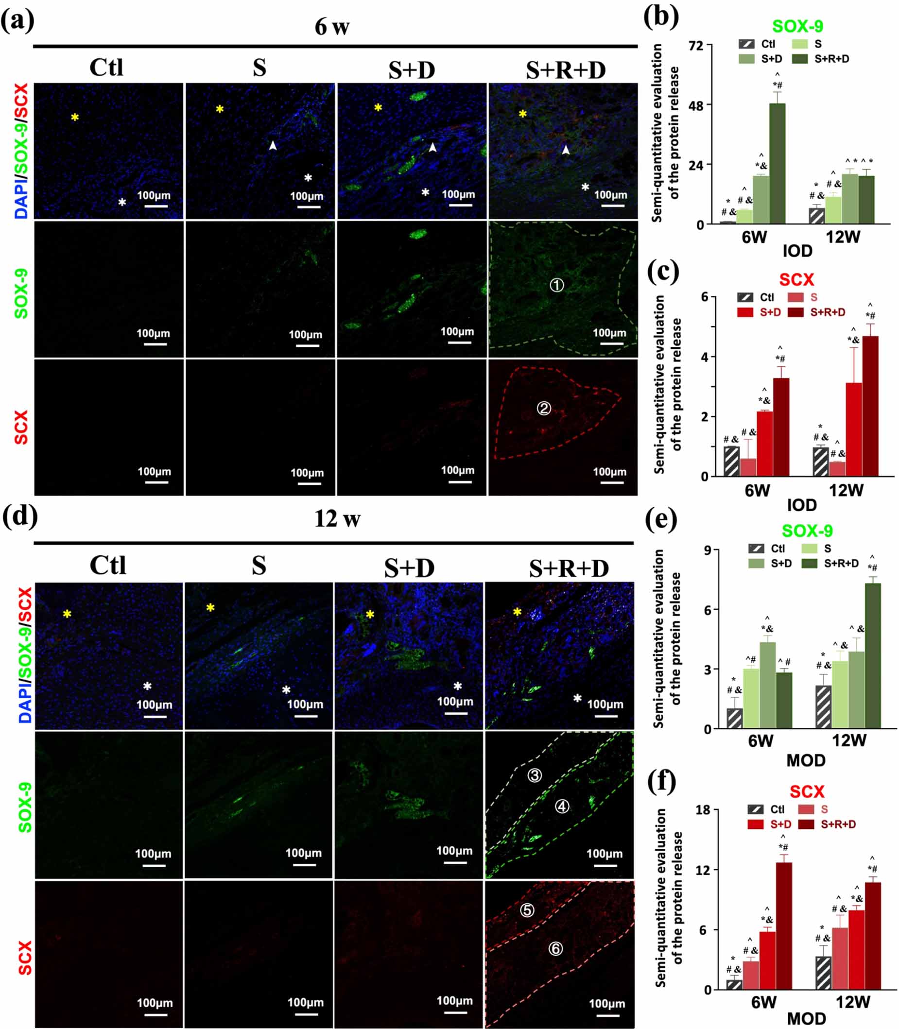 Coaxial electrohydrodynamic printing of core–shell microfibrous ...