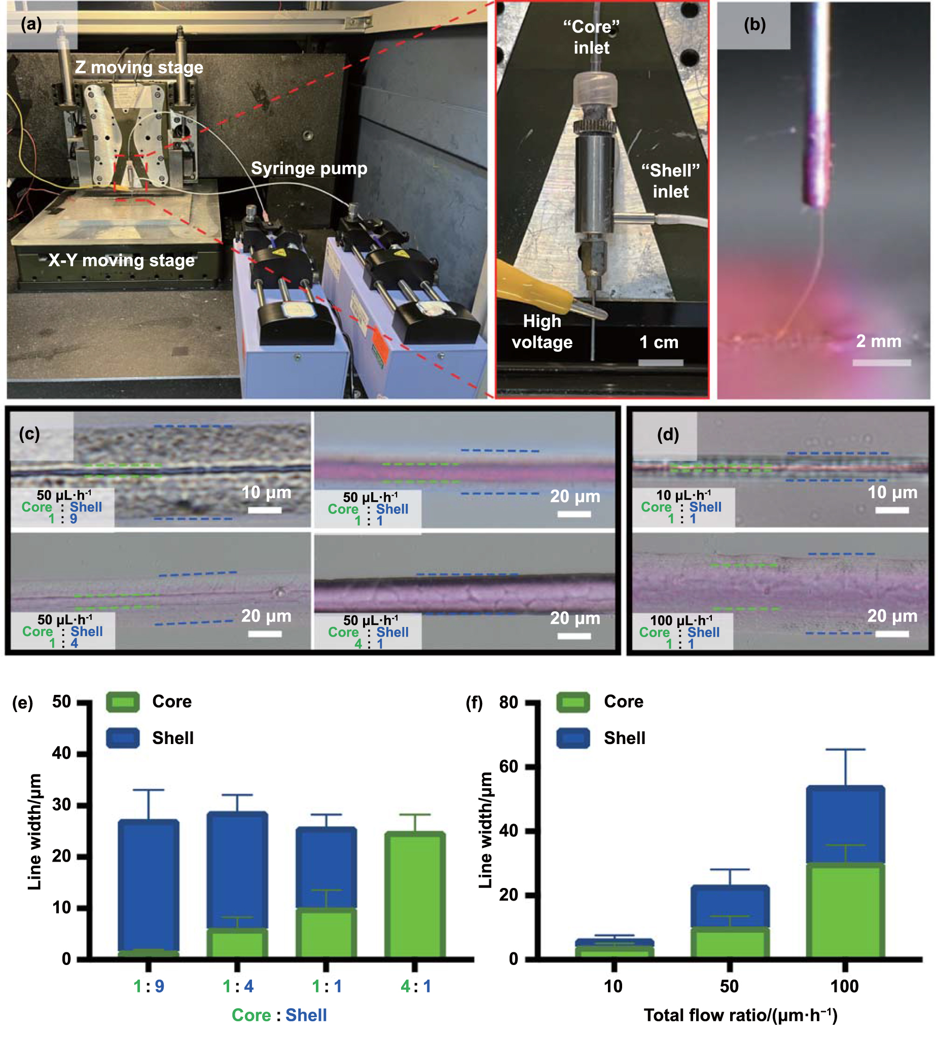 Coaxial electrohydrodynamic printing of core–shell microfibrous ...