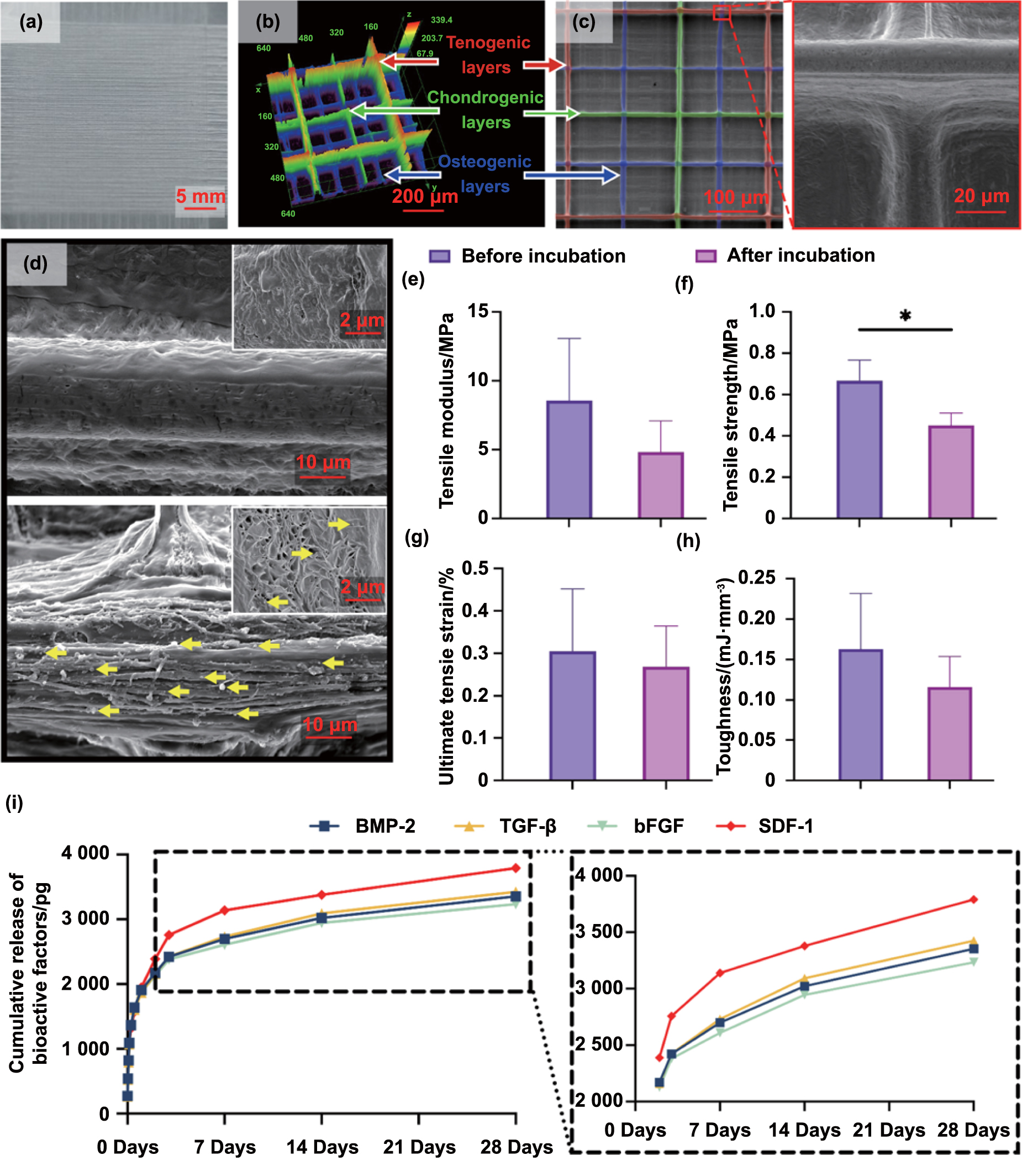 Coaxial electrohydrodynamic printing of core–shell microfibrous ...