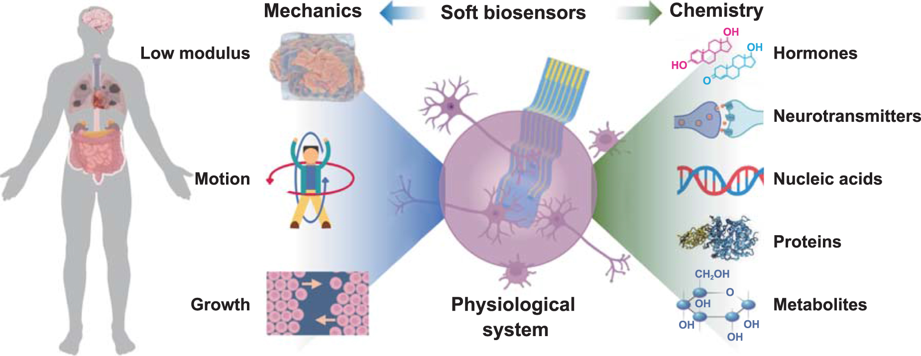 Design and manufacturing of soft electronics for in situ biochemical ...