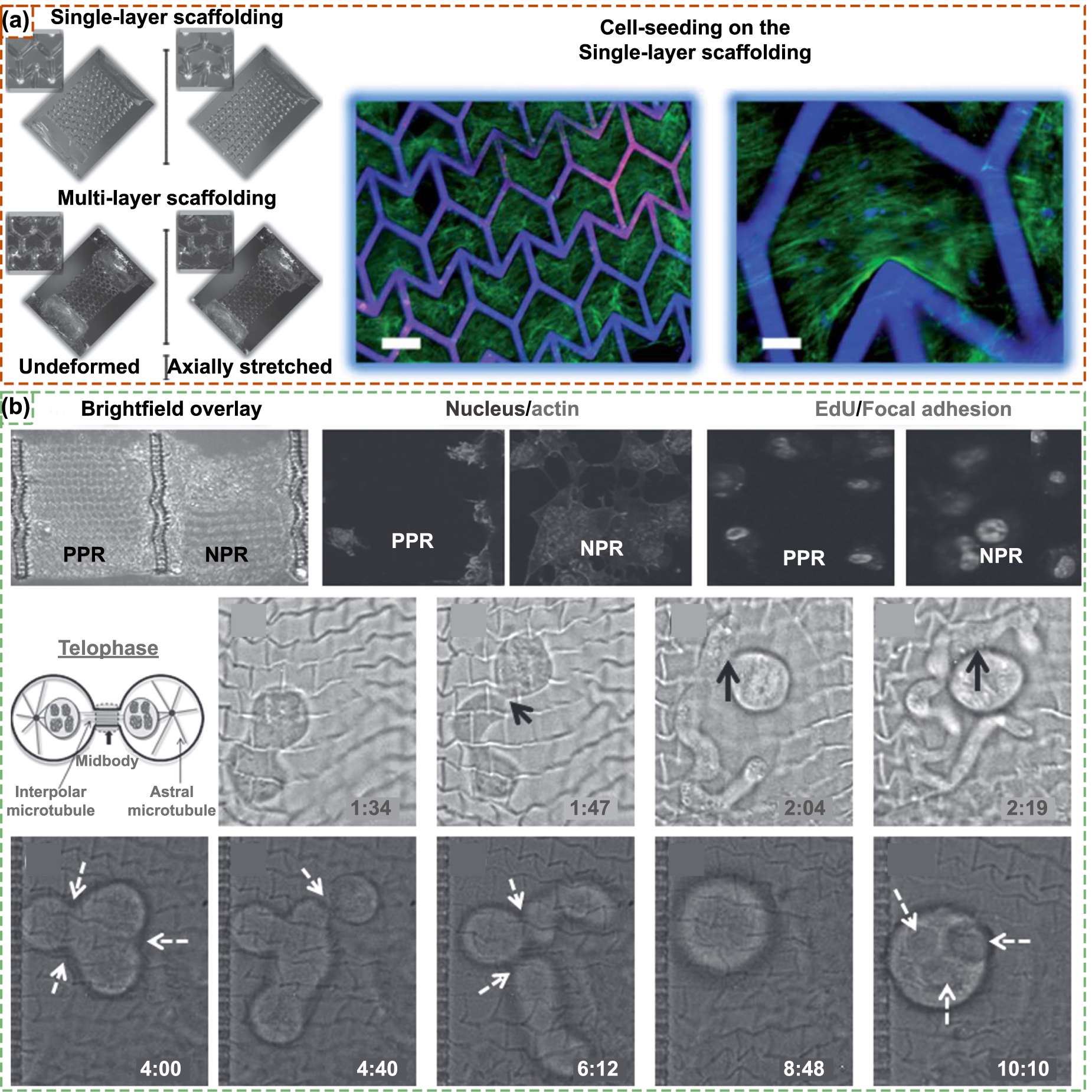 Fabrication and development of mechanical metamaterials via additive ...