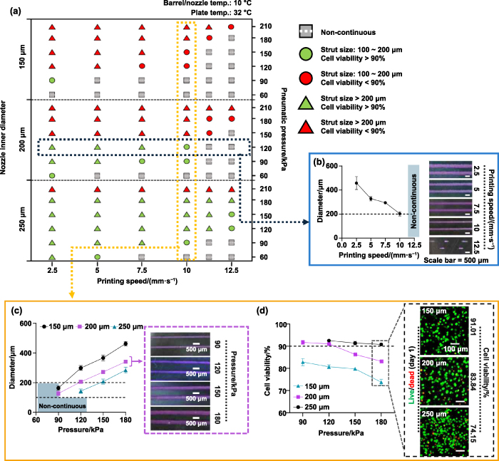 Bioengineered skin-substitutes incorporating rete-ridges using a ...
