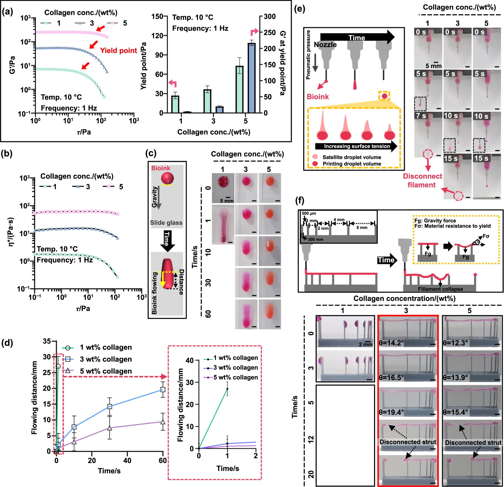 Bioengineered skin-substitutes incorporating rete-ridges using a ...