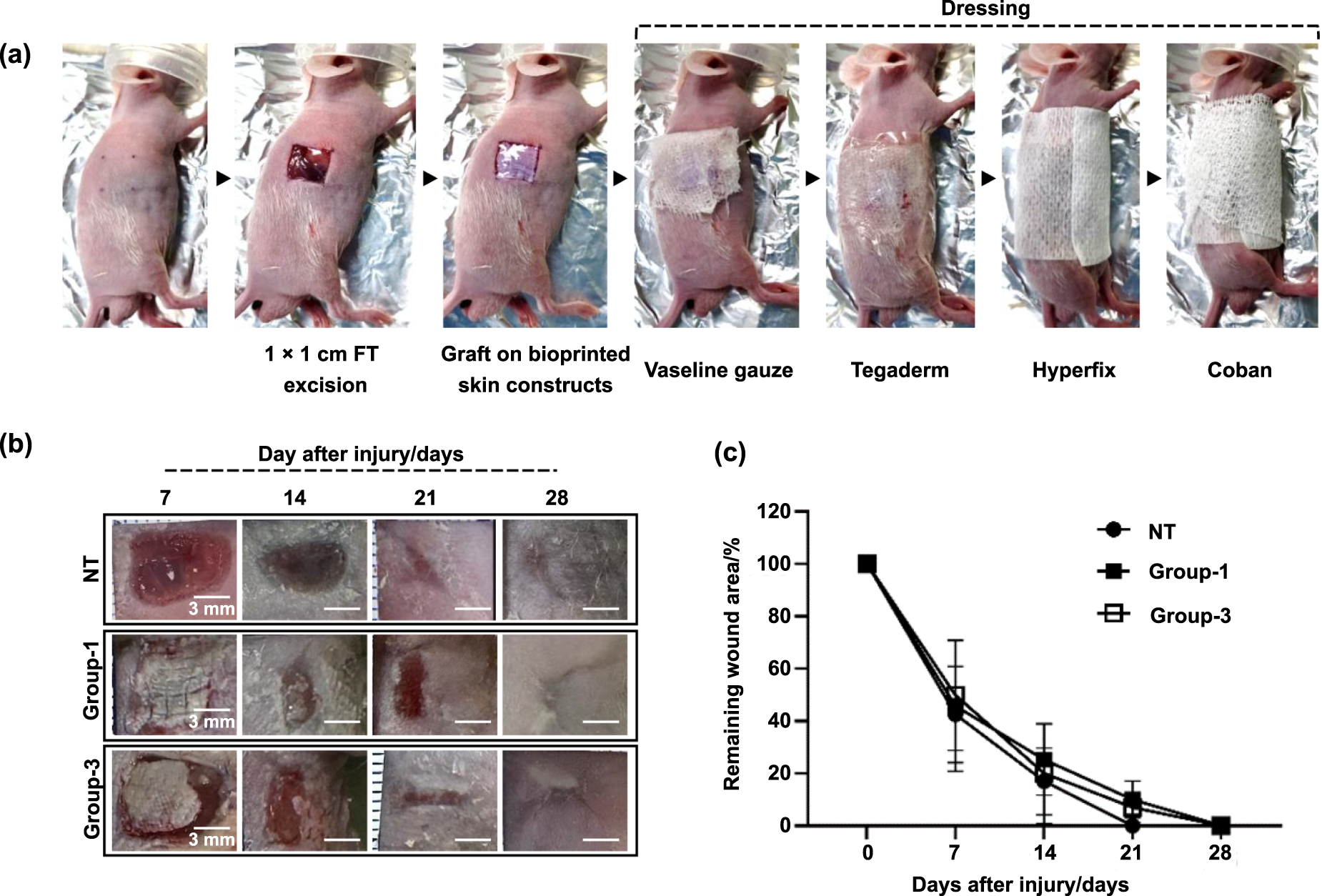 Bioengineered skin-substitutes incorporating rete-ridges using a ...