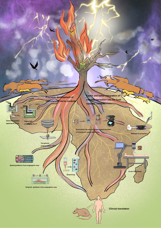 Neurovascularization strategy: pathfinder and interlocutor for ...