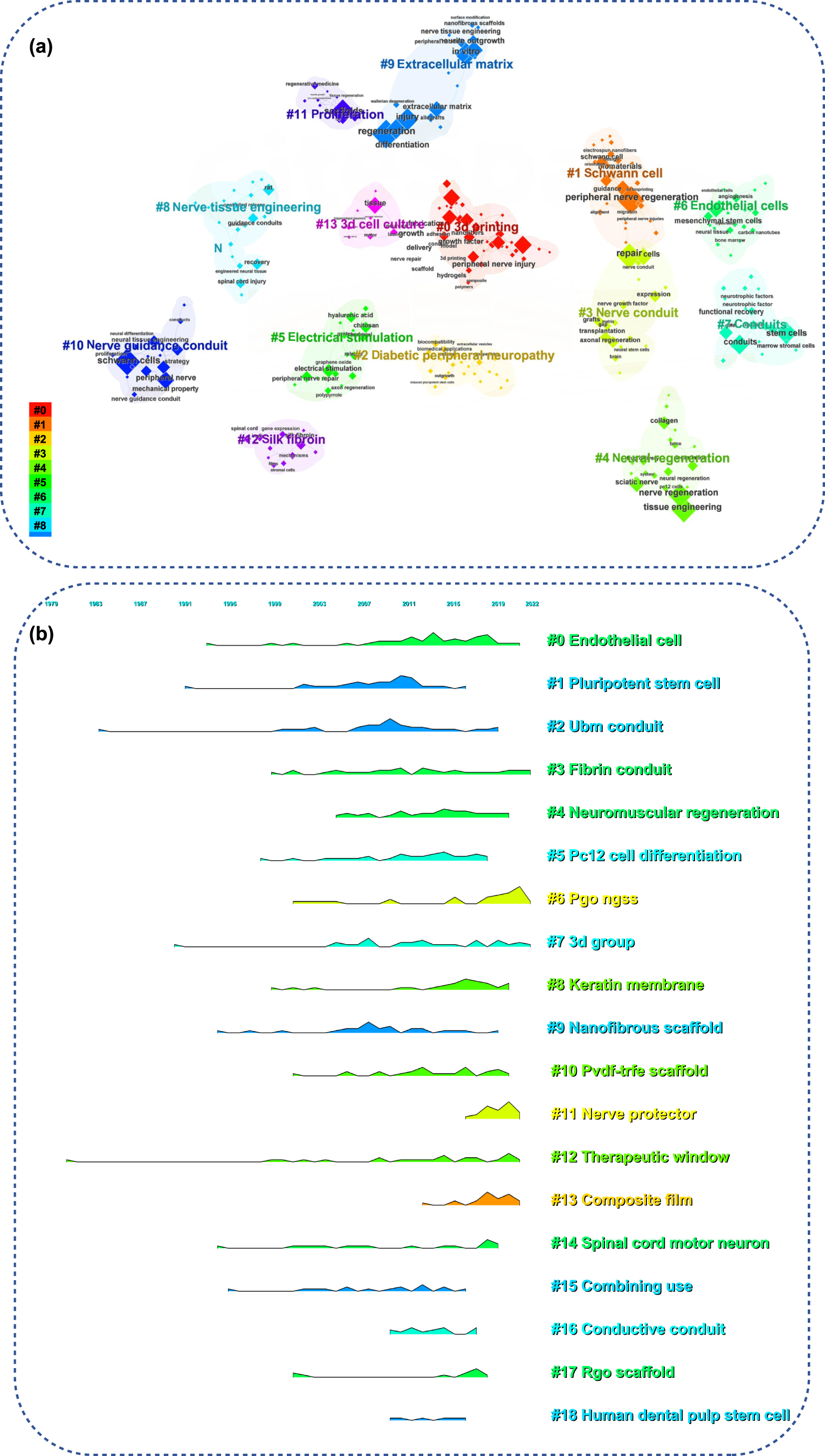 Neurovascularization strategy: pathfinder and interlocutor for ...