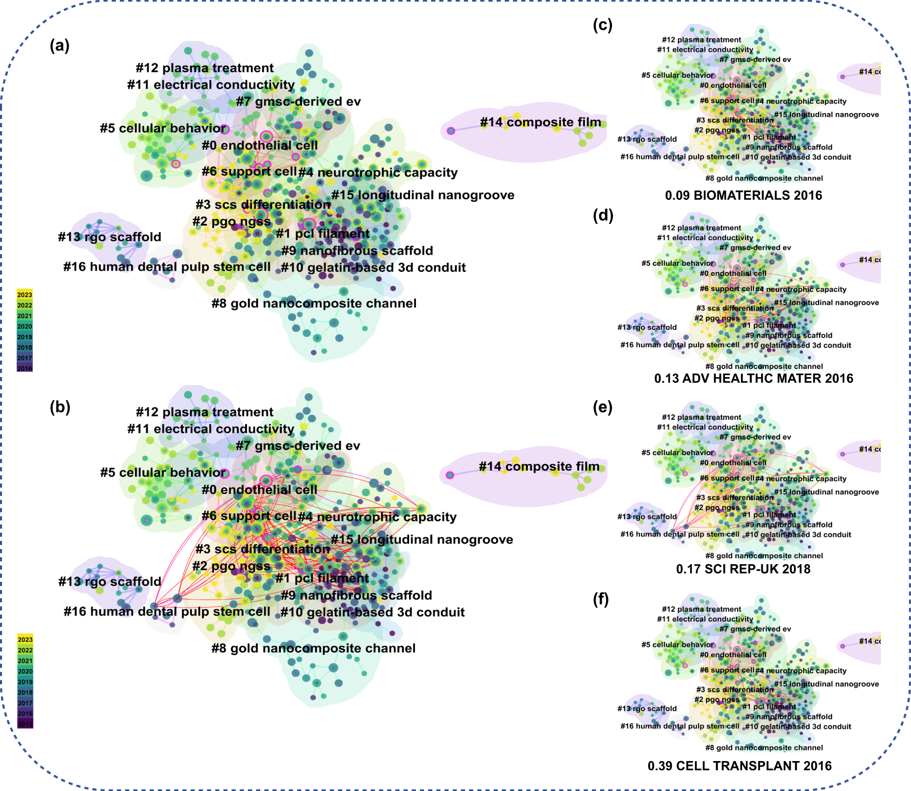 Neurovascularization strategy: pathfinder and interlocutor for ...