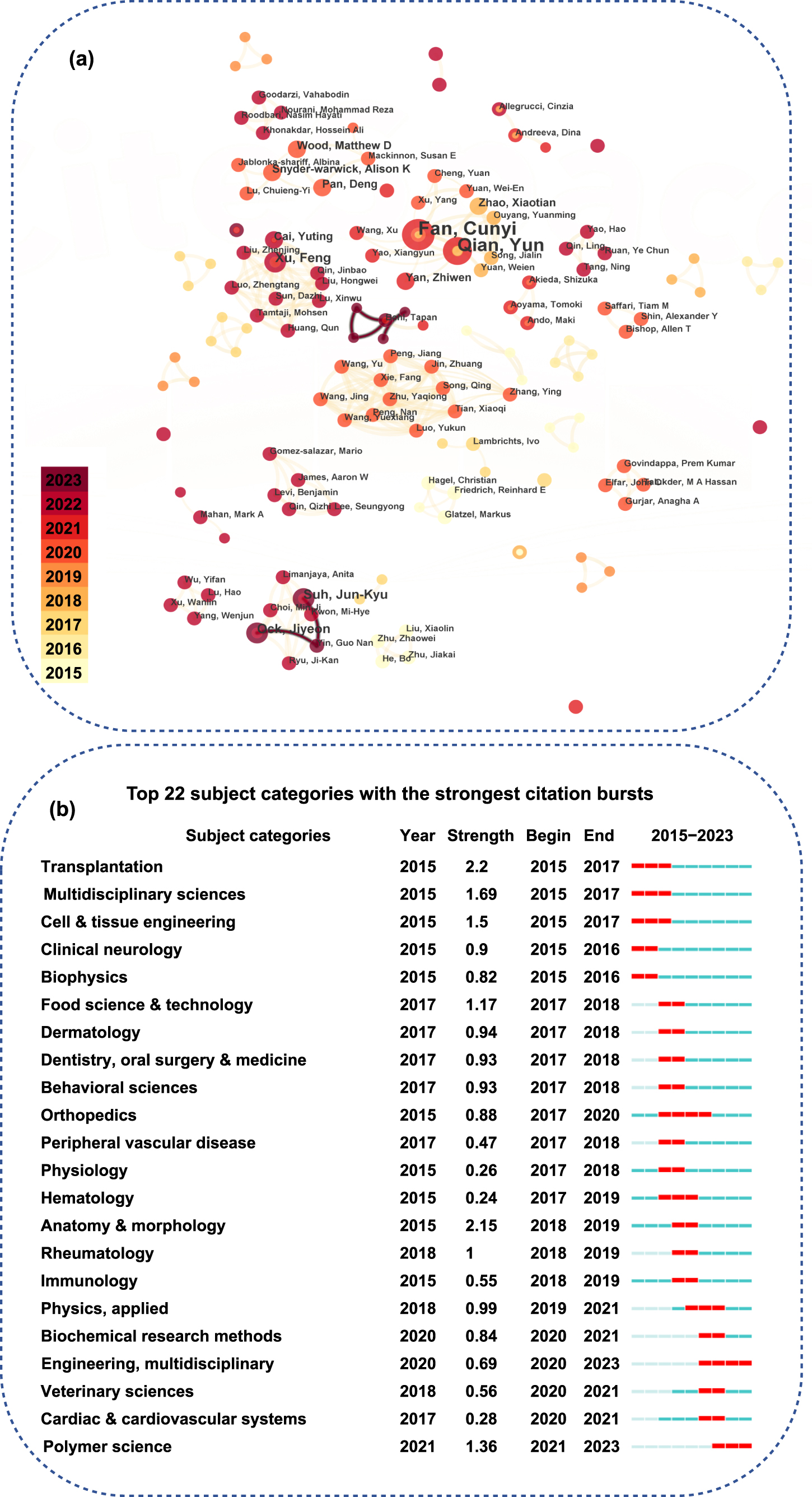 Neurovascularization strategy: pathfinder and interlocutor for ...