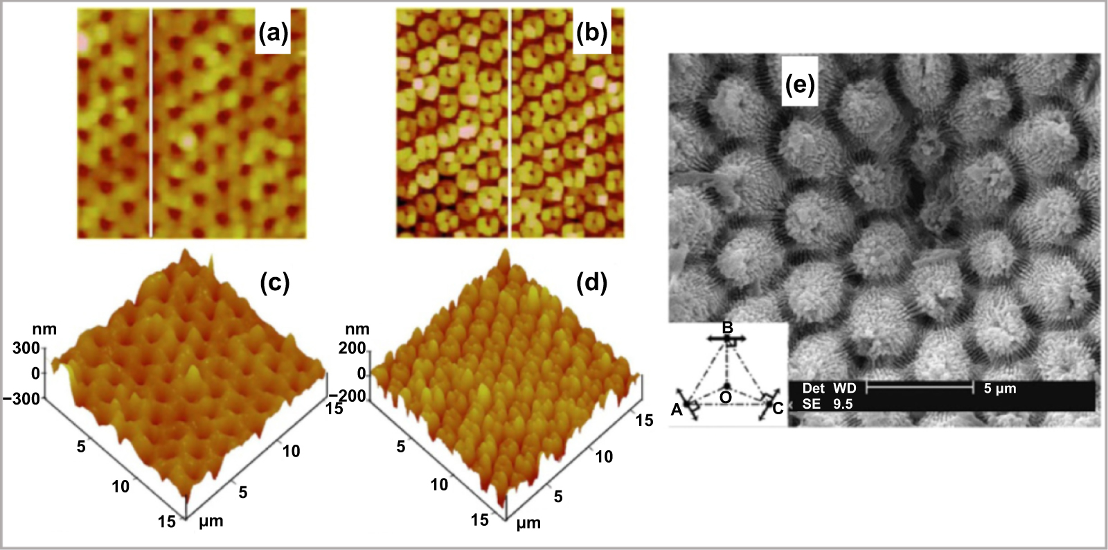 Femtosecond laser micro/nano processing: from fundamental to ...