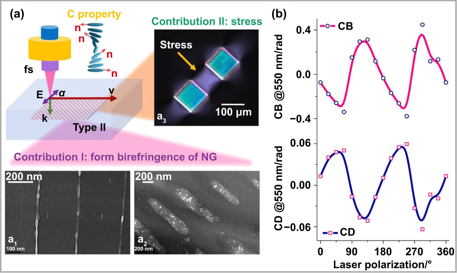 Femtosecond laser micro/nano processing: from fundamental to ...