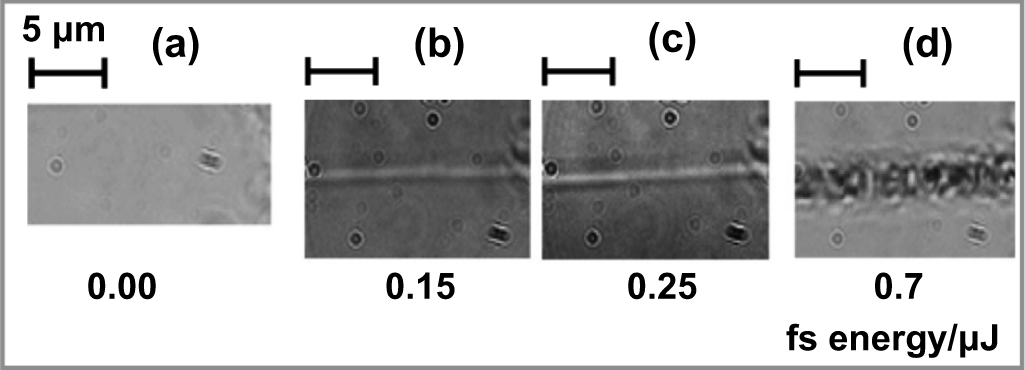 Femtosecond laser micro/nano processing: from fundamental to ...