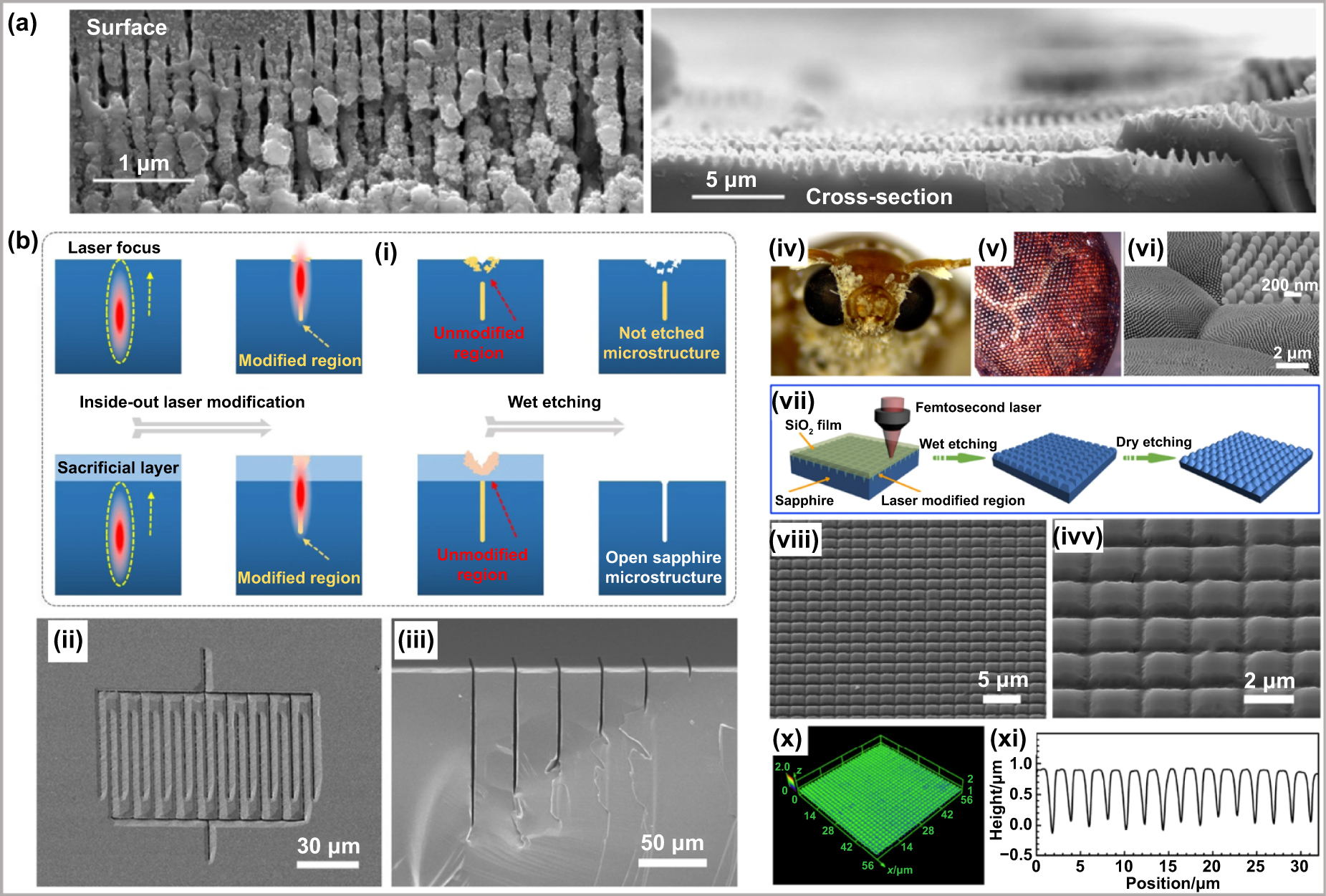 Femtosecond laser micro/nano processing: from fundamental to ...