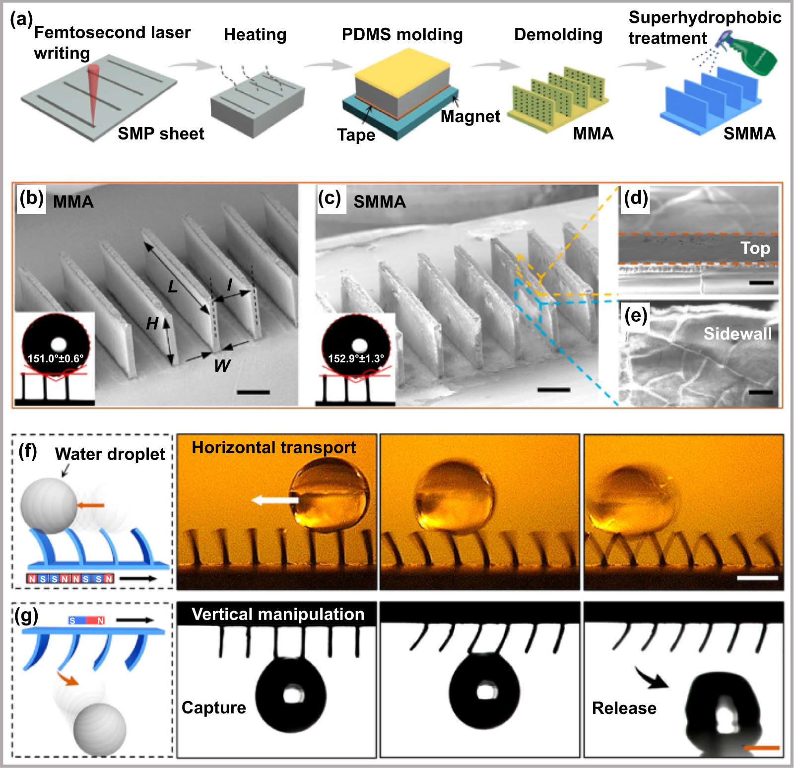 Femtosecond laser micro/nano processing: from fundamental to ...