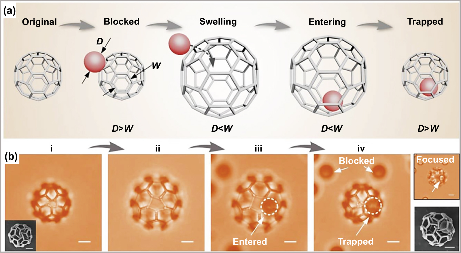 Femtosecond laser micro/nano processing: from fundamental to ...