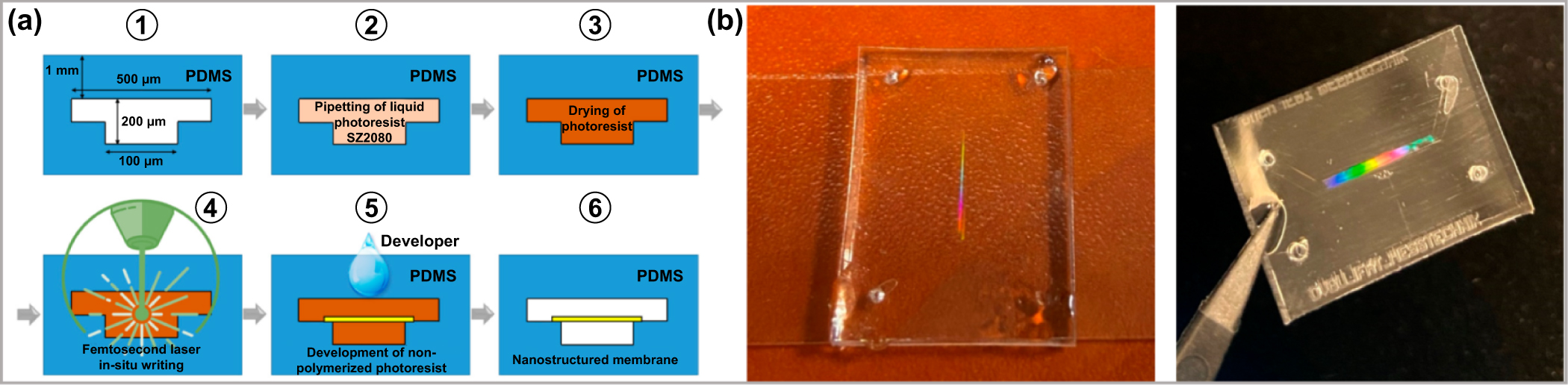 Femtosecond laser micro/nano processing: from fundamental to ...