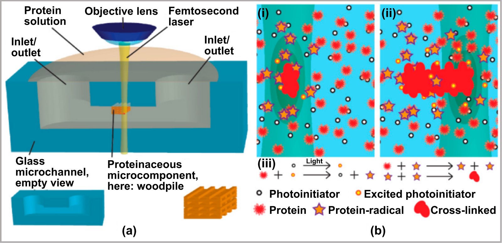 Femtosecond laser micro/nano processing: from fundamental to ...