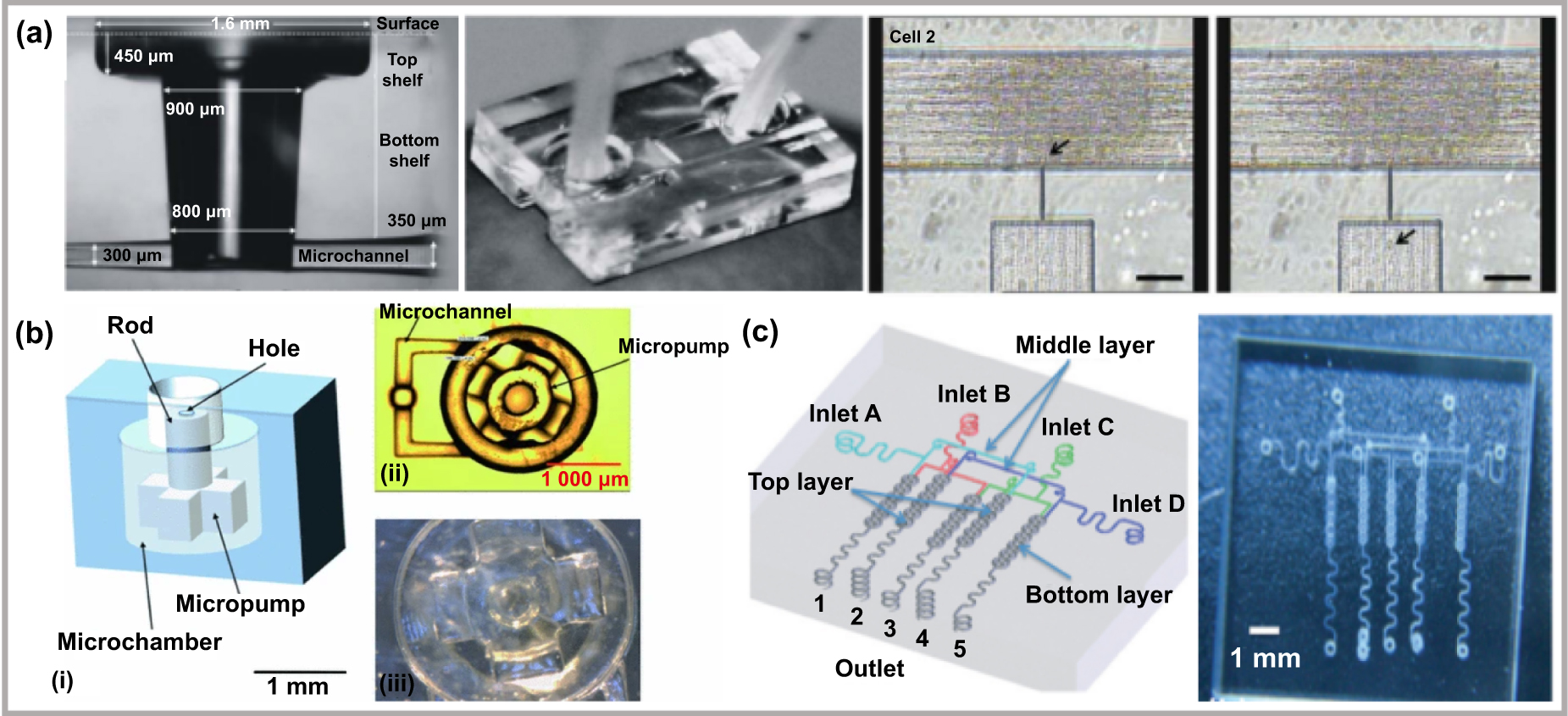 Femtosecond laser micro/nano processing: from fundamental to ...