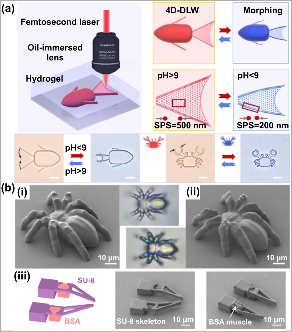 Femtosecond laser micro/nano processing: from fundamental to ...