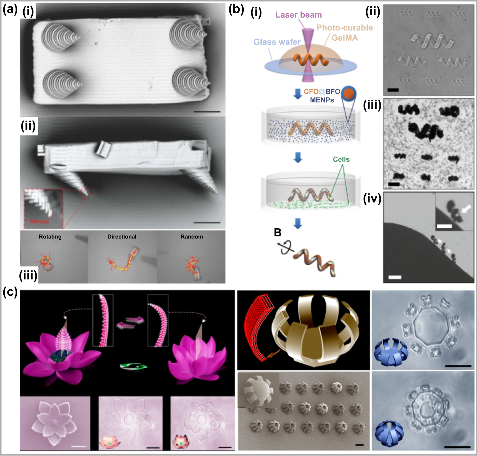 Femtosecond laser micro/nano processing: from fundamental to ...