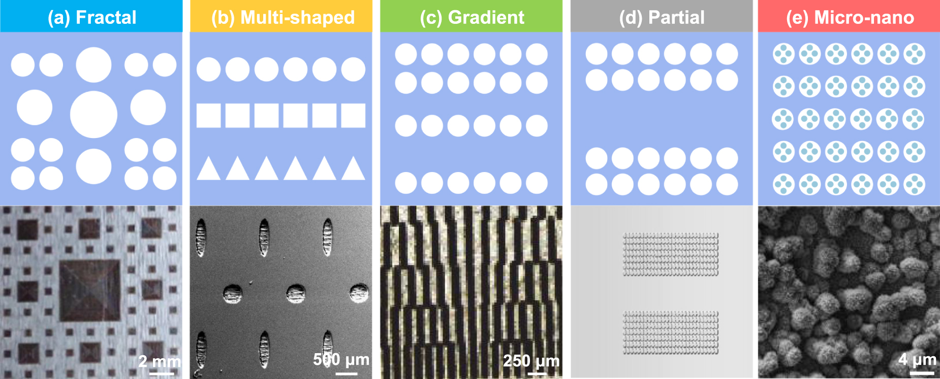 Beyond smoothness: the art of surface texturing battling against ...