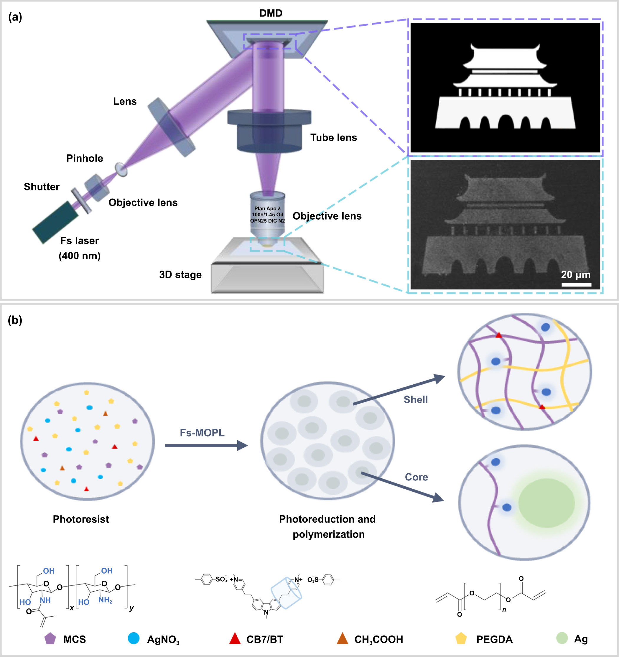 Micropattern of core-shell Ag@MCS/PEGDA nanoparticles fabricated by ...
