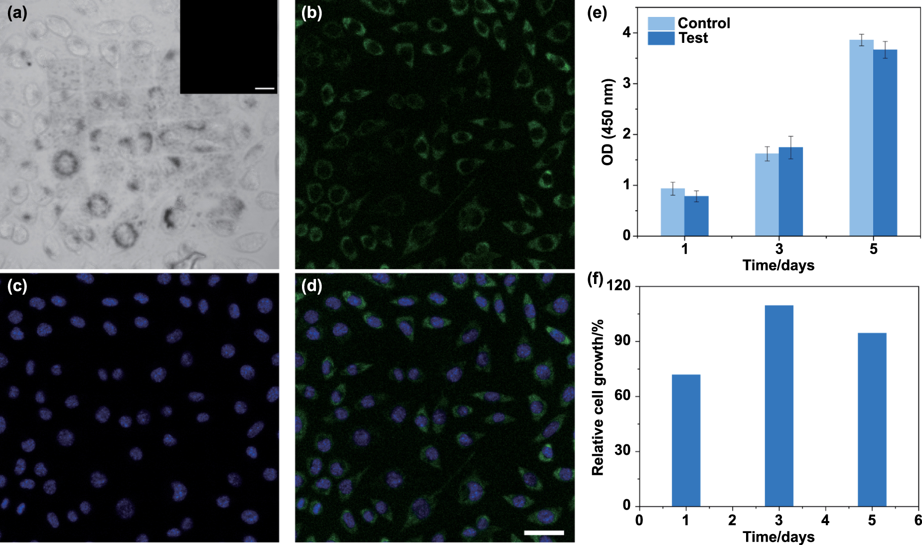 Micropattern of core-shell Ag@MCS/PEGDA nanoparticles fabricated by ...