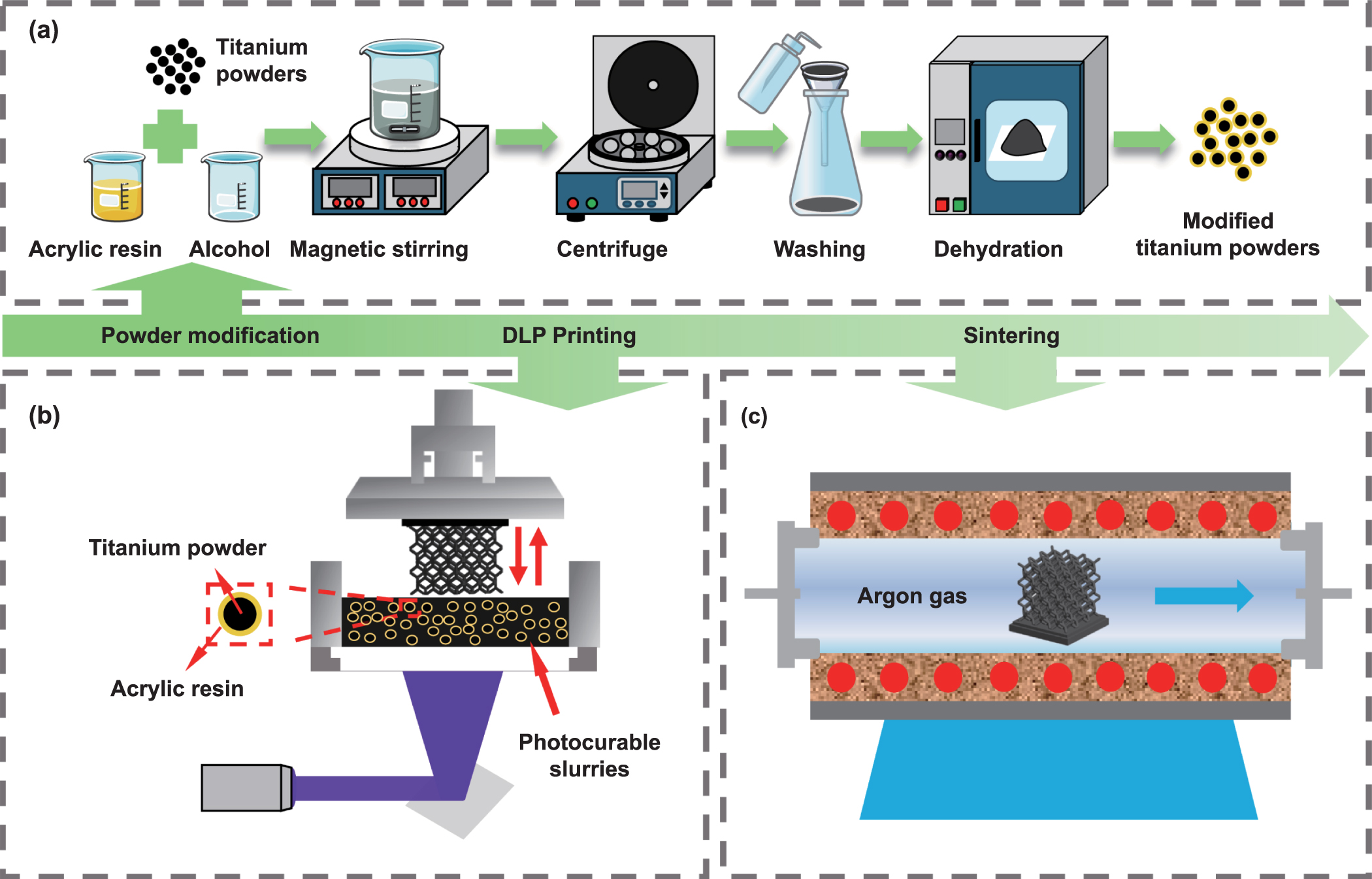 Digital light processing three-dimensional printing with acrylic ...