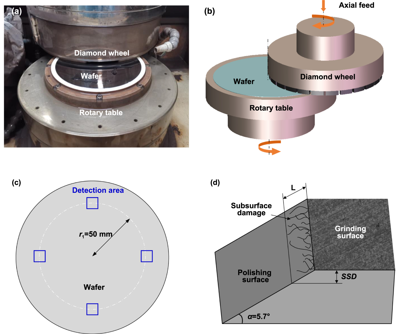 Predictive models for the surface roughness and subsurface damage depth ...