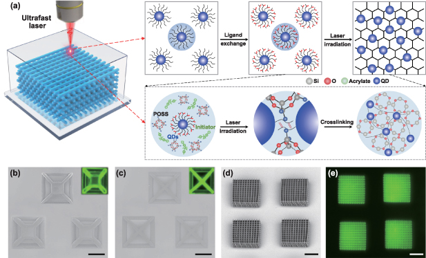 Three-dimensional direct lithography of stable quantum dots in hybrid ...