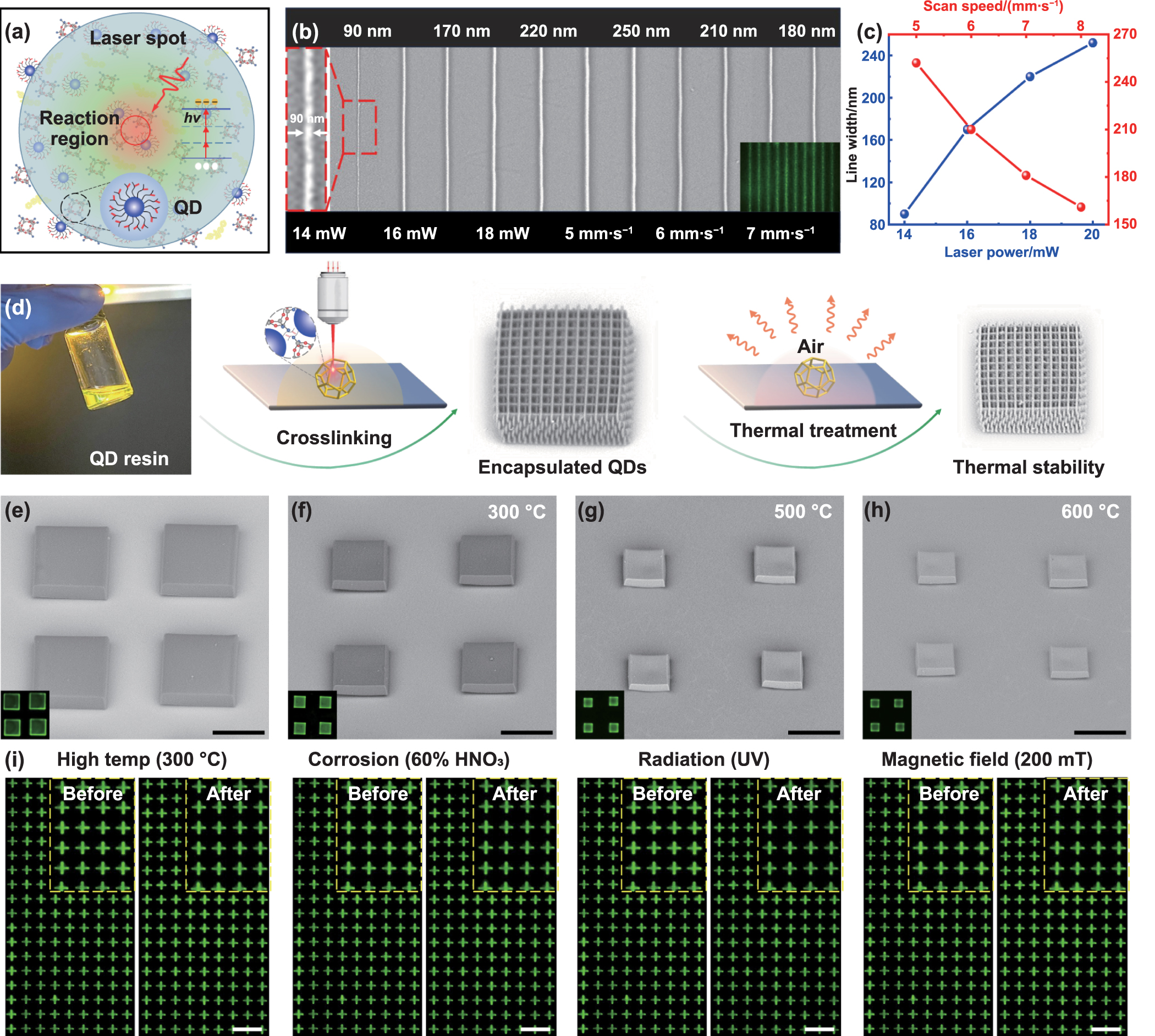 Three-dimensional direct lithography of stable quantum dots in hybrid ...
