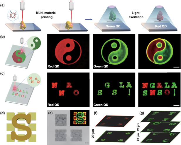 Three-dimensional direct lithography of stable quantum dots in hybrid ...